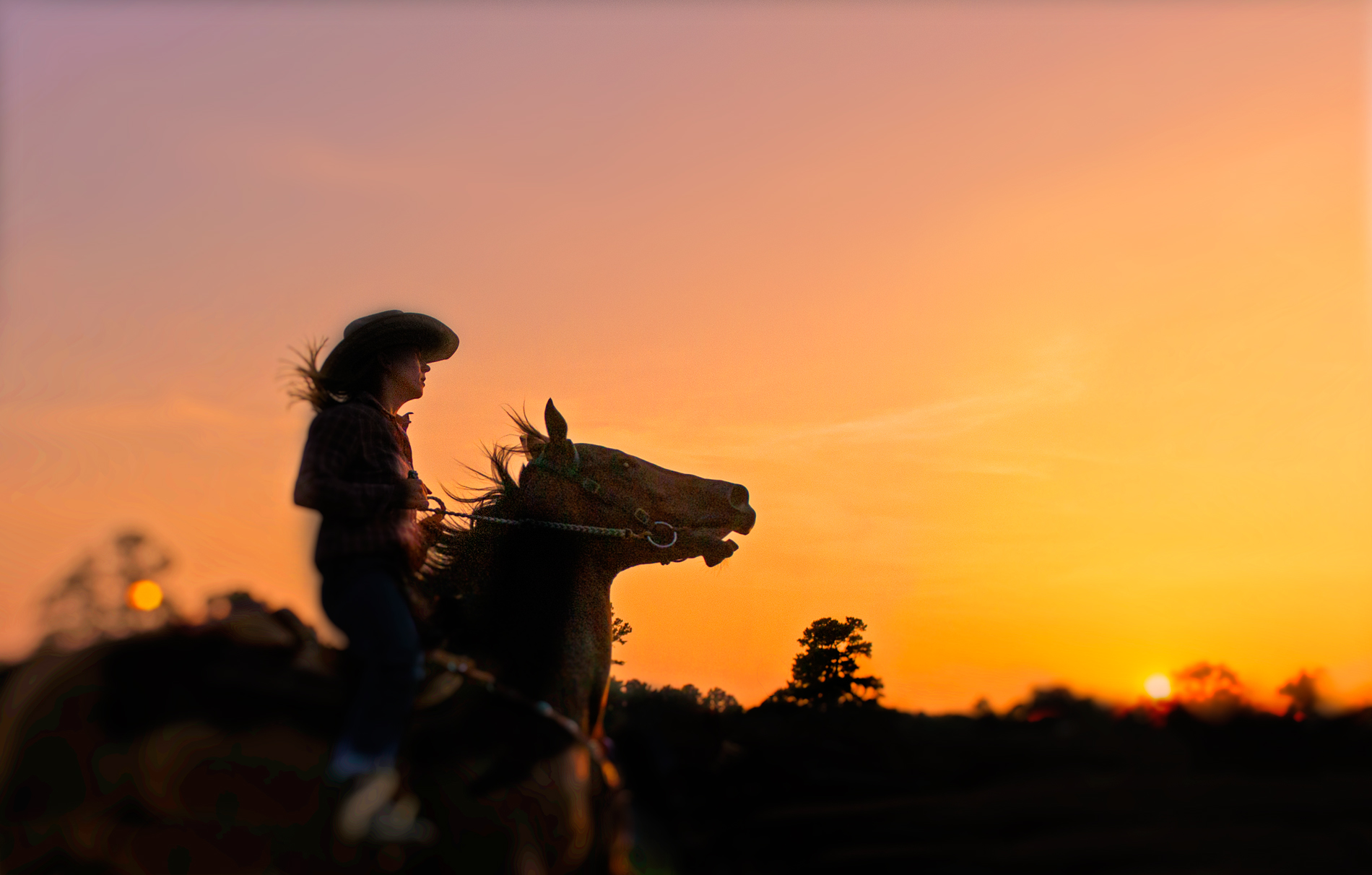 Simon Griffiths Visual Communications